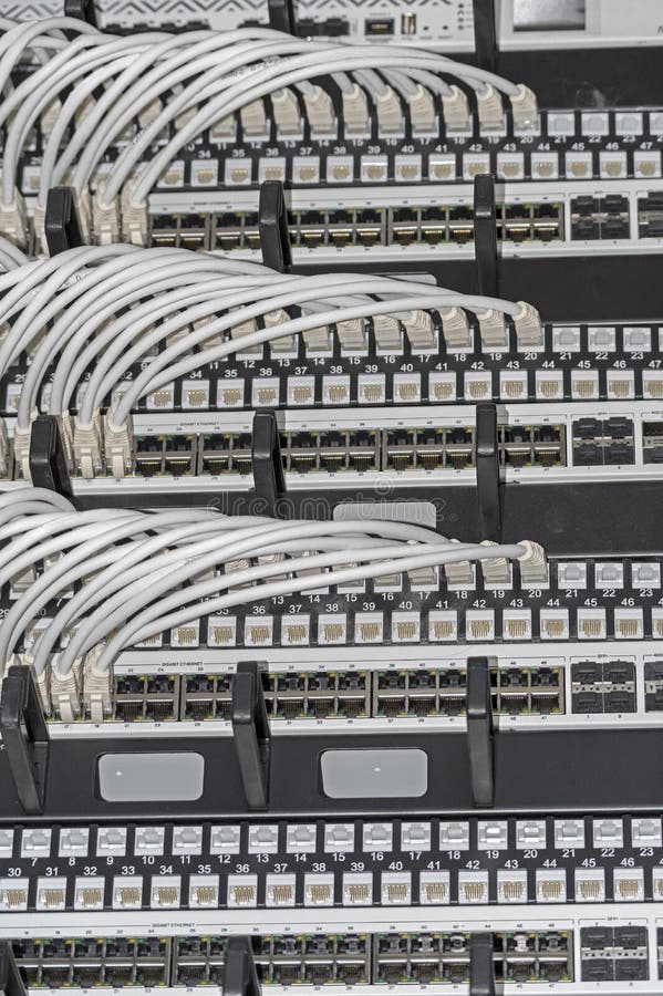 UTP Cat5e Cable with Patch Panel Stock Image - Image of business, data ...