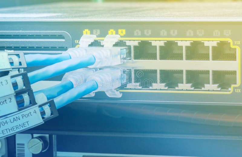 UTP ethernet cables stock photo. Image of patch, blue - 50071880