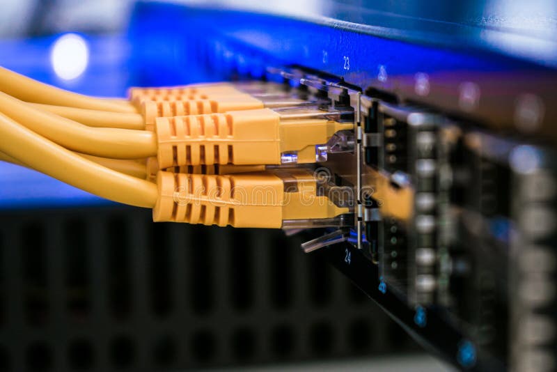 Utp Wires are in the Office Router Close-up. Internet Cable is in the ...