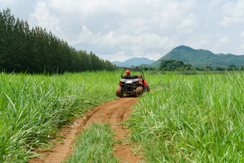UTV 4-wheel drive in farm stock image. Image of companion - 100210969