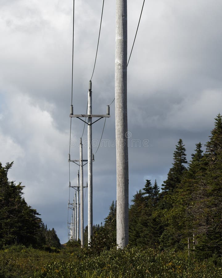 Uutility Poles Stock Photos - Free & Royalty-Free Stock Photos from ...