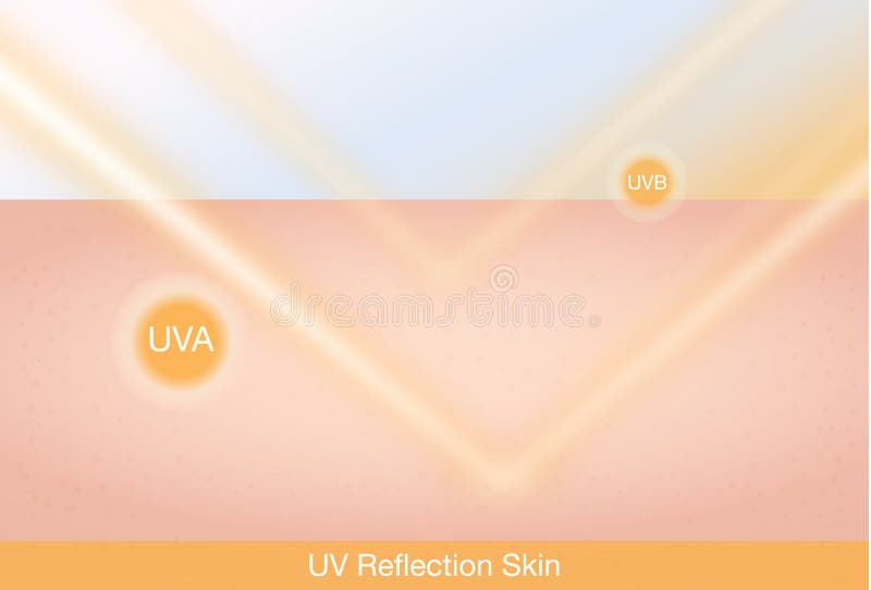 UV reflection skin stock vector. Illustration of micro - 55542367