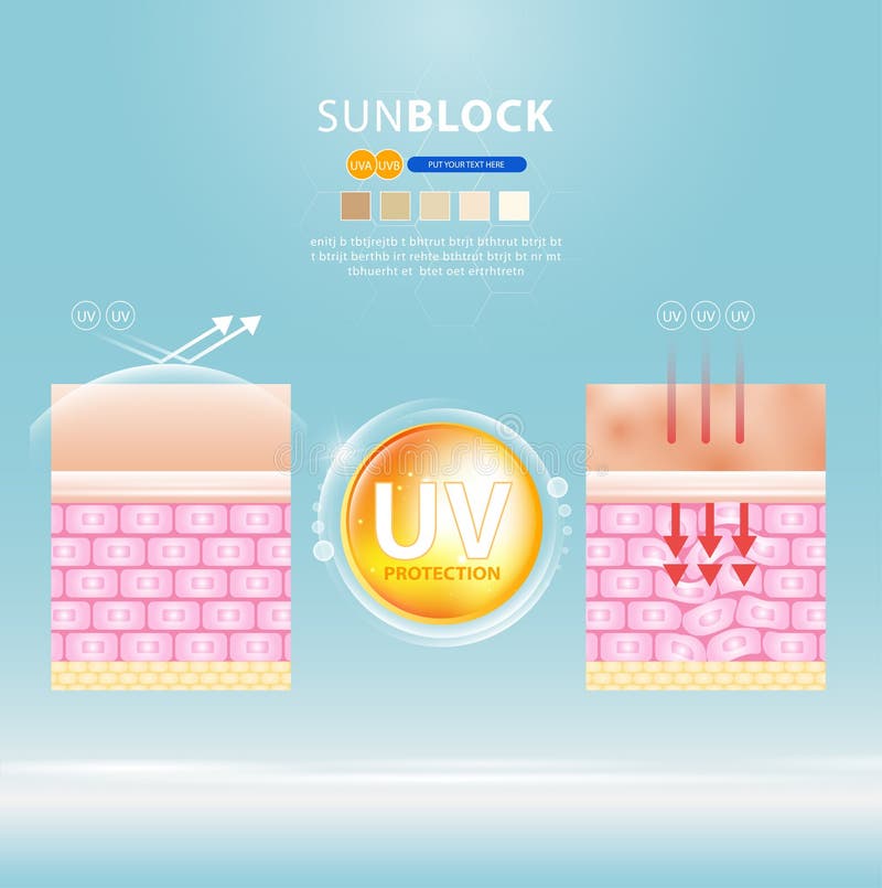 UV Reflection Skin after Protection Vector Design Stock Vector ...