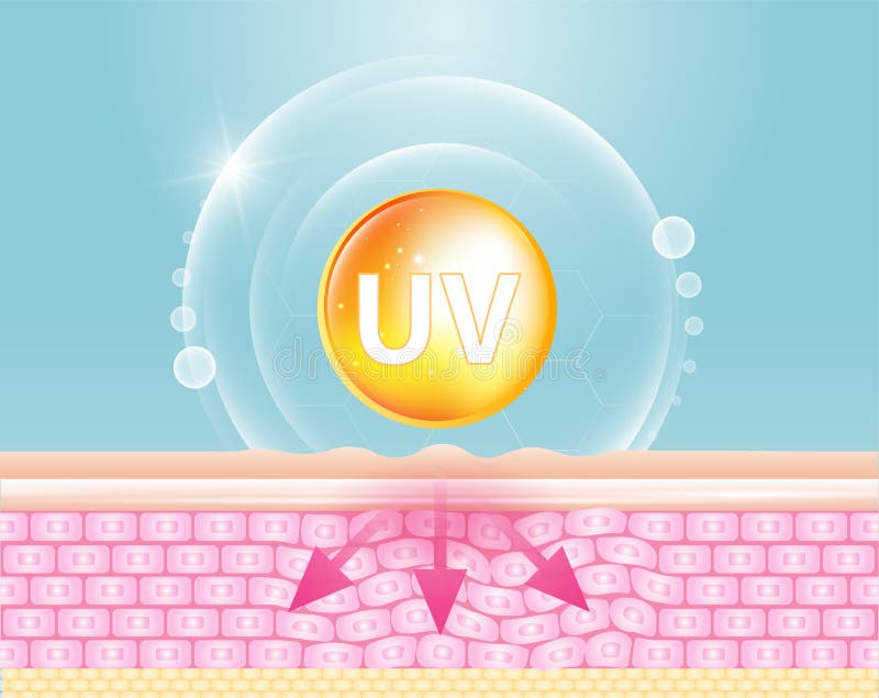 UV Reflection Skin after Protection Vector Design Stock Vector ...