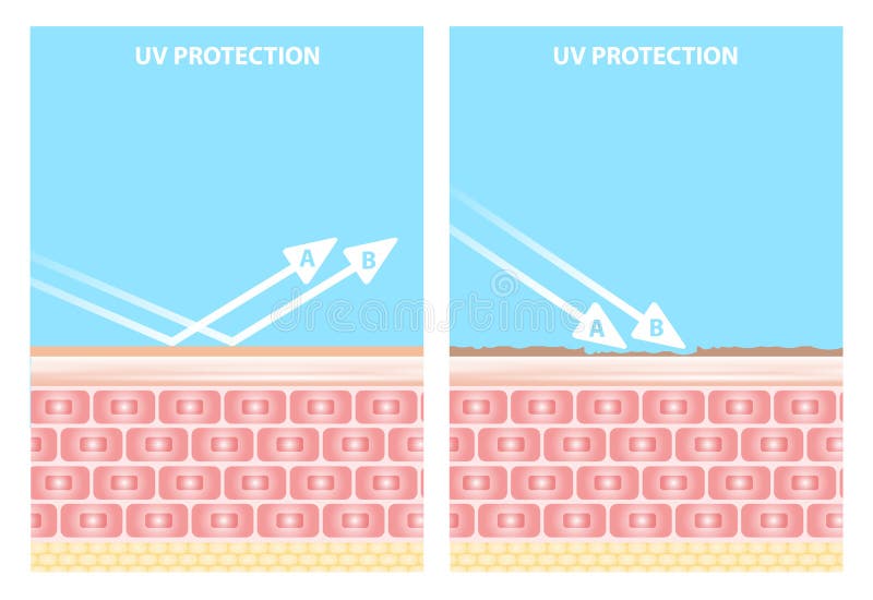 UV Reflection Skin after Protection Vector Design Stock Vector ...