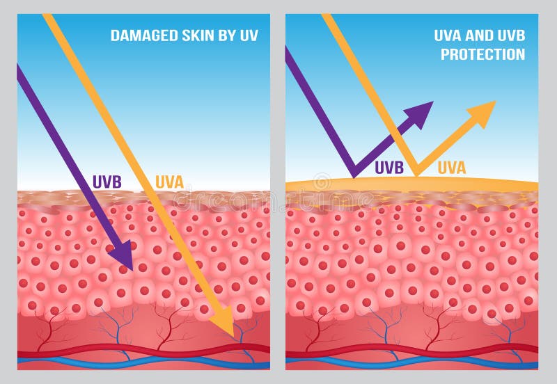 UV , Uv a and Uv B Protection Stock Illustration - Illustration of care ...