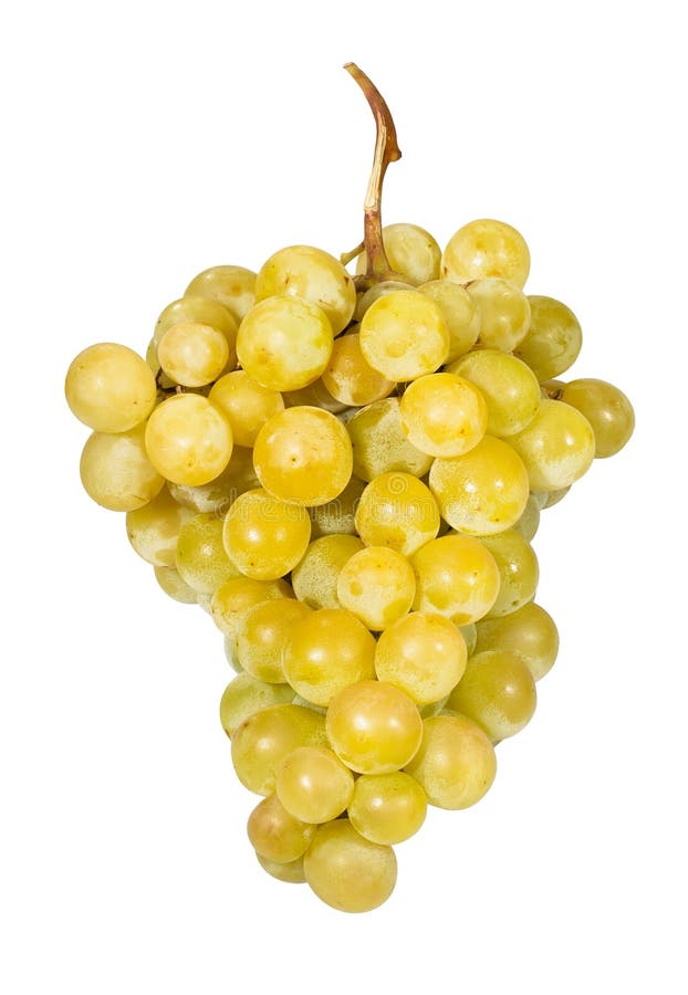 Uva de Muscat imagem de stock. Imagem de antioxidante - 34456667