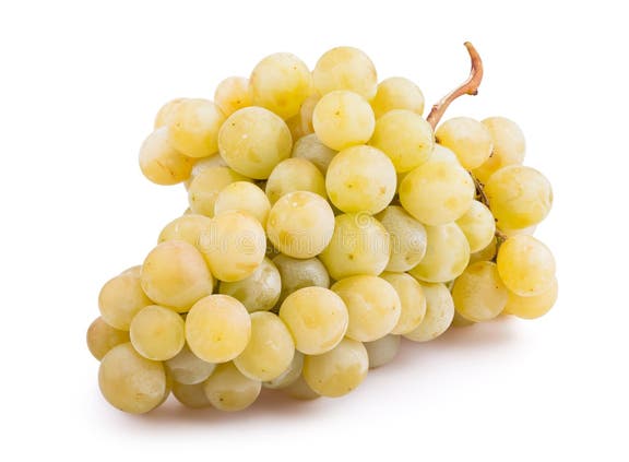 Uva de Muscat imagen de archivo. Imagen de travieso, estudio - 34456671