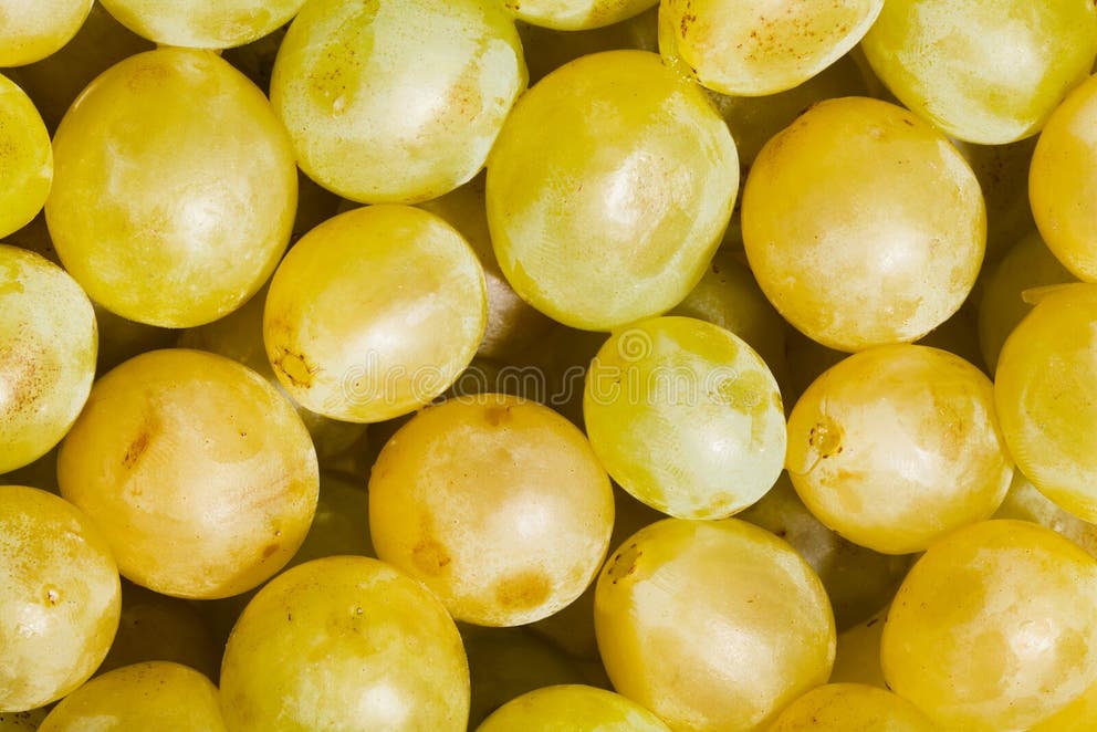 Uva de Muscat foto de archivo. Imagen de cubo, jugoso - 34456698