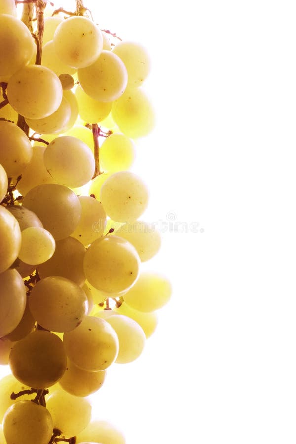 Uva Na Modalidade Clara Elevada Foto de Stock - Imagem de vegetariano ...
