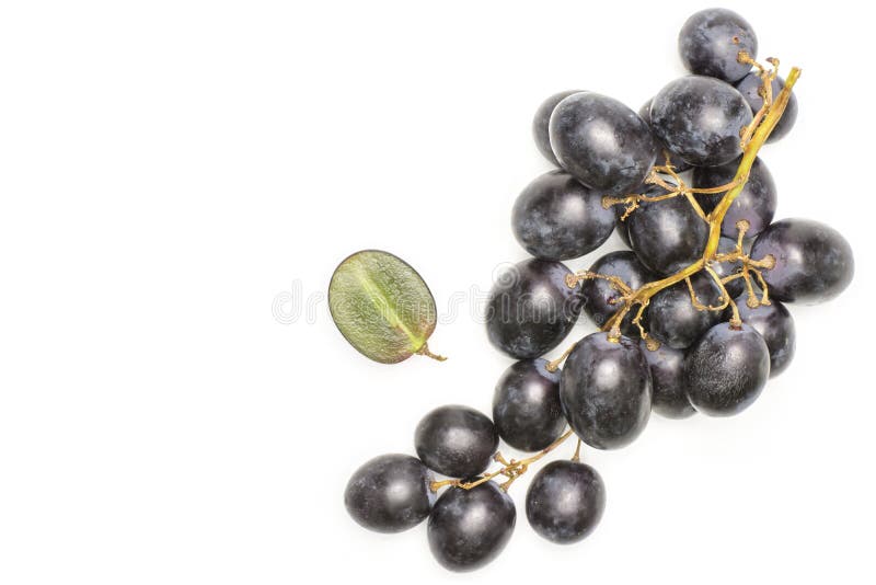 Uva Negra Cruda Fresca Aislada En Blanco Foto de archivo - Imagen de ...