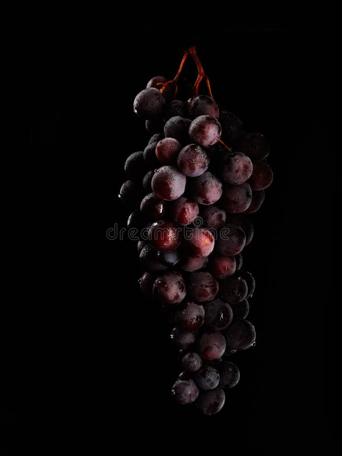 Uva oscura imagen de archivo. Imagen de negro, oscuro - 34179683