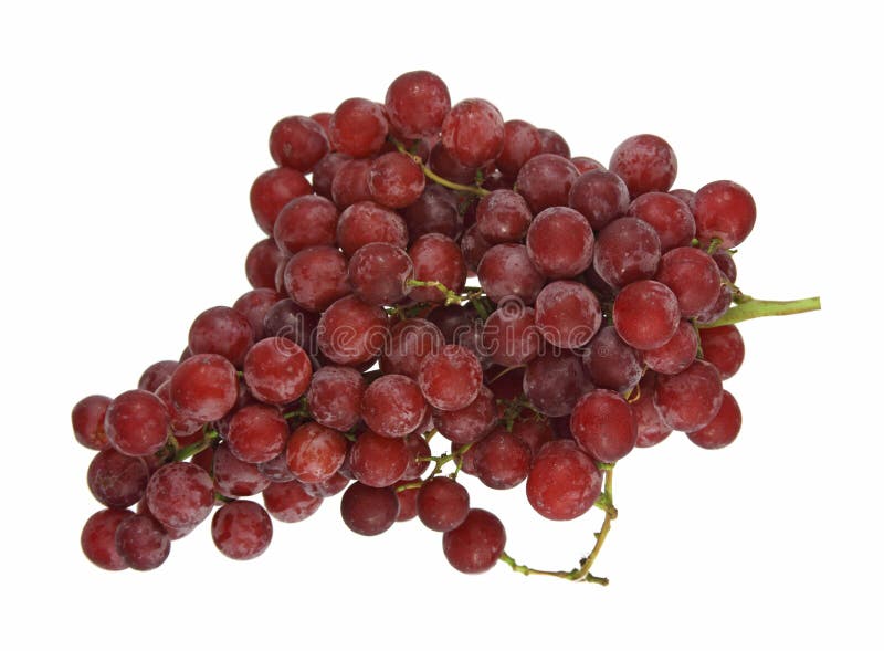 Uva Rossa Fresca Senza Semi Immagine Stock - Immagine di dolce ...