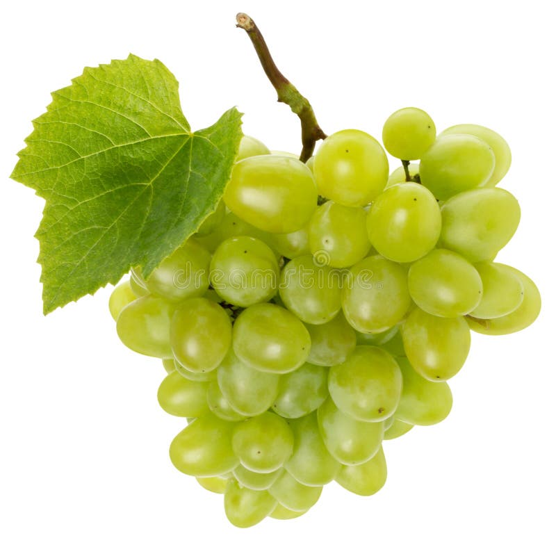 Uva Verde Aislada Sobre Fondo Blanco Imagen de archivo - Imagen de ...