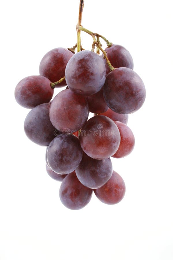 Uvas foto de archivo. Imagen de verano, uvas, alimento - 1270544
