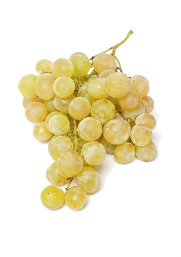 Uvas foto de stock. Imagem de frutific, isolado, frutado - 16387440