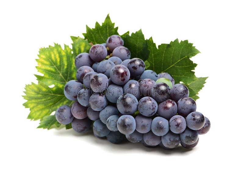 Uvas de fondo blanco foto de archivo. Imagen de cierre - 158121384