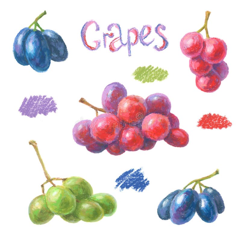 Uvas Dibujadas Mano Fijadas Stock de ilustración - Ilustración de fruta ...