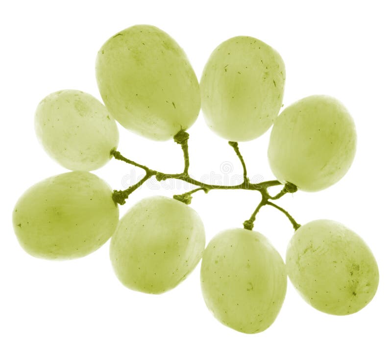 Uvas en blanco imagen de archivo. Imagen de aislado - 129608185