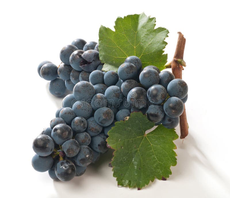 Uvas negras imagen de archivo. Imagen de fruta, vino - 26917345