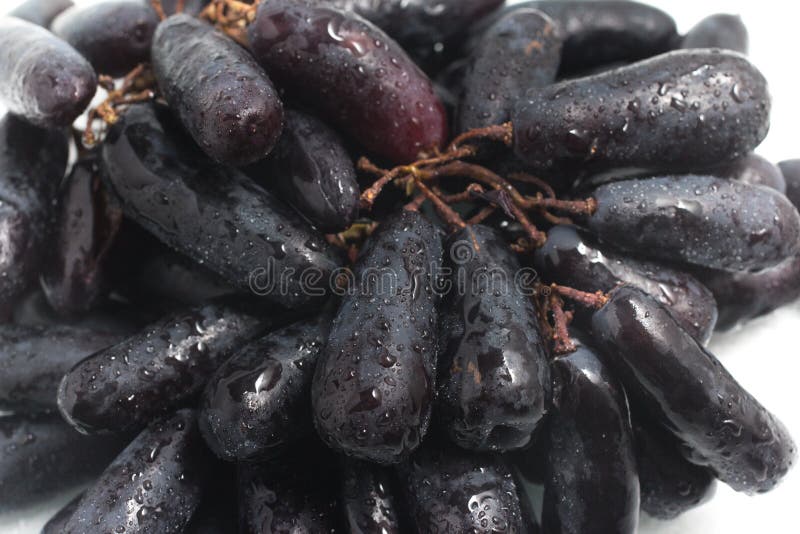 Uvas Negras Largas De Medianoche Imagen de archivo - Imagen de uvas ...