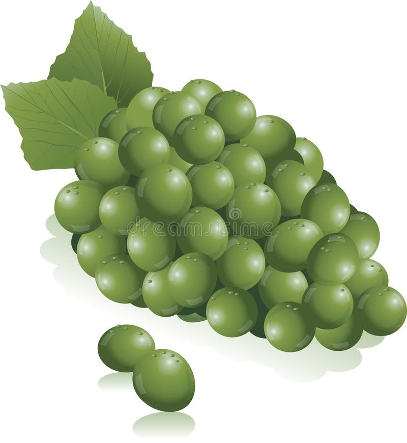 Diseño Del Logotipo De Uvas Verdes. Icono Vector De Tres Uvas Verdes ...