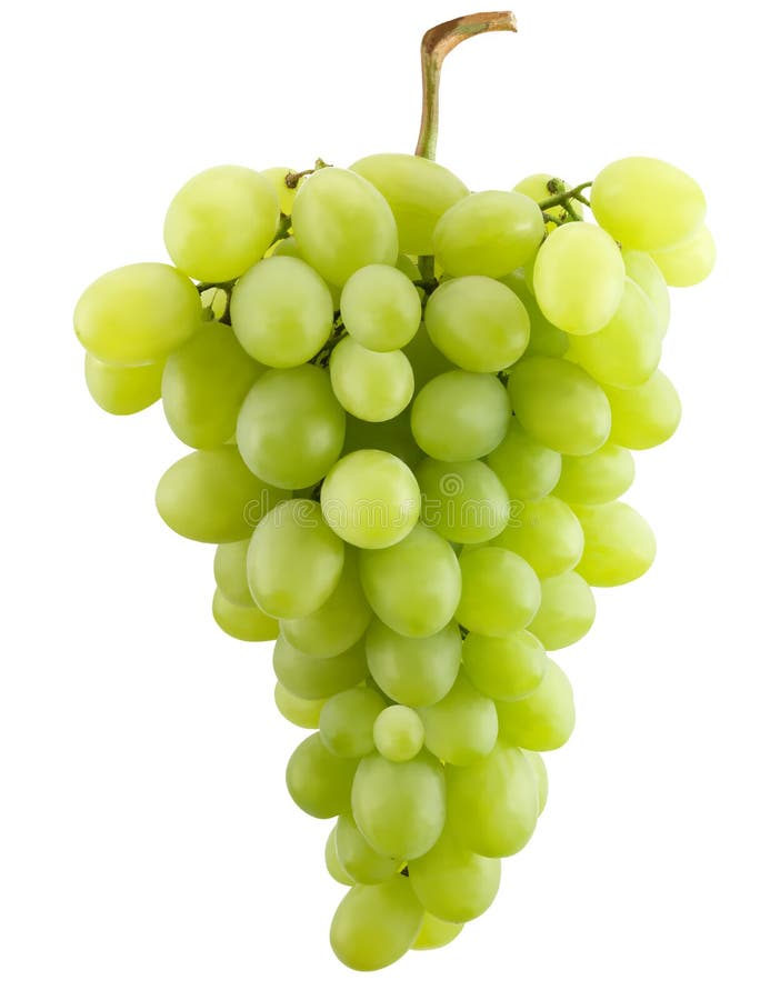 Uvas Verdes Aisladas En El Fondo Blanco Imagen de archivo - Imagen de ...