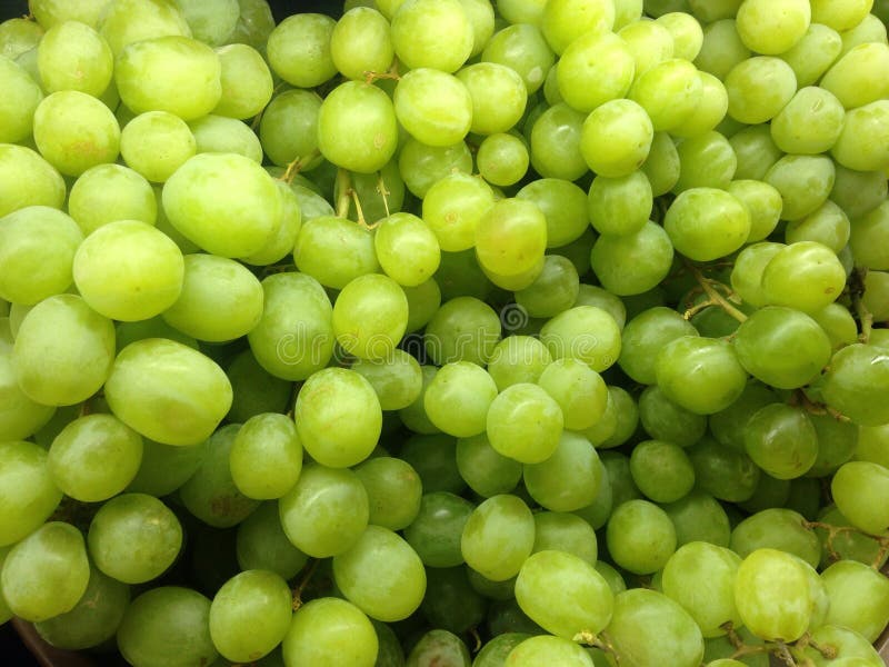 Uvas verdes frescas foto de stock. Imagem de alimento - 46456204