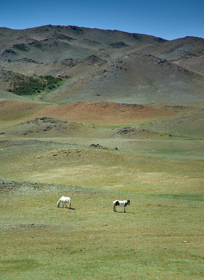 Uvs Province in Mongolia stock image. Image of meadow - 153625951