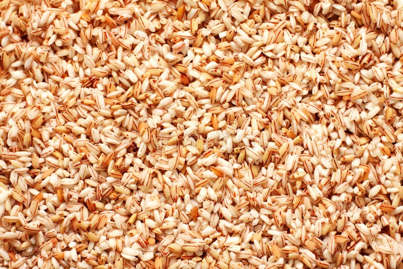 Uzbek rice stock photo. Image of rice, grain, food, seed - 20164870