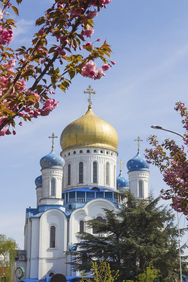 Uzhgorod Orthodox Cathedral, Ukraine Stock Photo - Image of tree ...