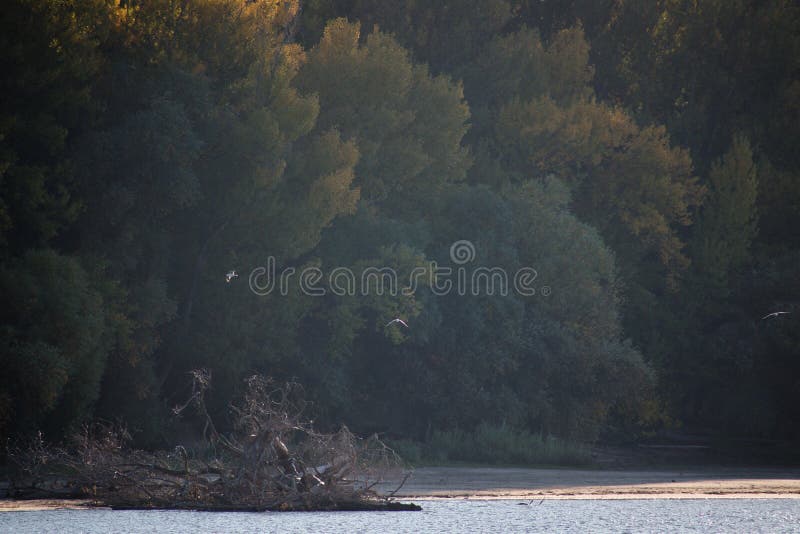 Váh - river stock photo. Image of beautiful, outdoor - 101648948