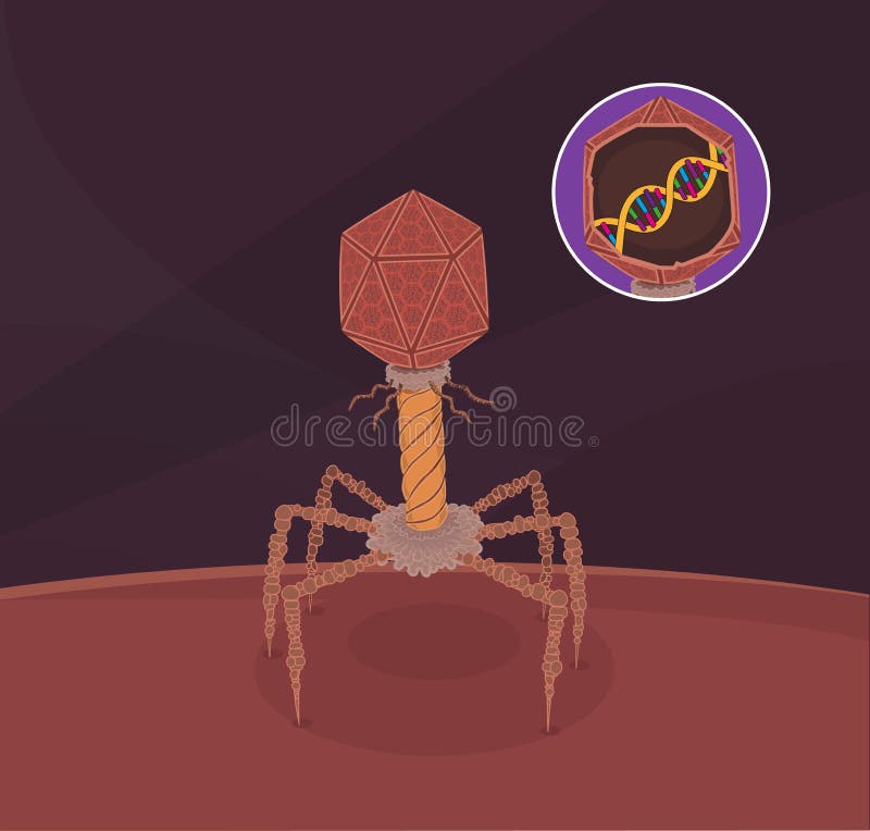 Imagem Da Microscopia De Elétron Do Vírus Do Bacteriófago Ilustração ...