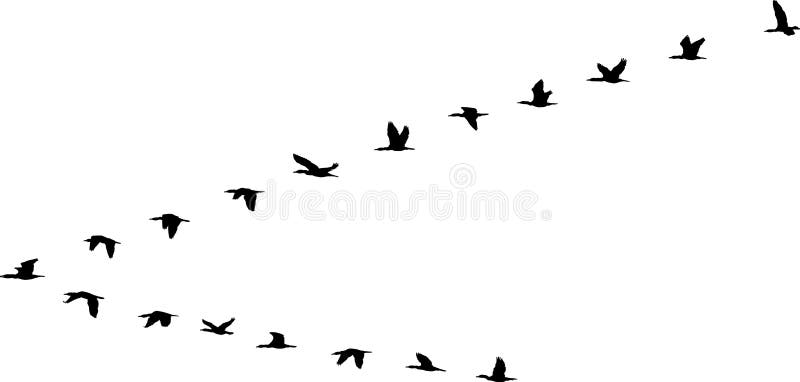 V formation stock vector. Illustration of formation - 173729896