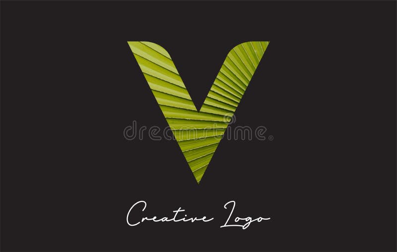 V Letter Logo with Palm Tree Leaf Pattern Design Stock Vector ...