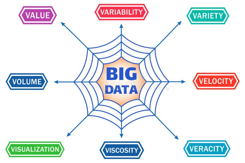 Vector Colorful Infographic Spider Stock Illustrations – 164 Vector ...