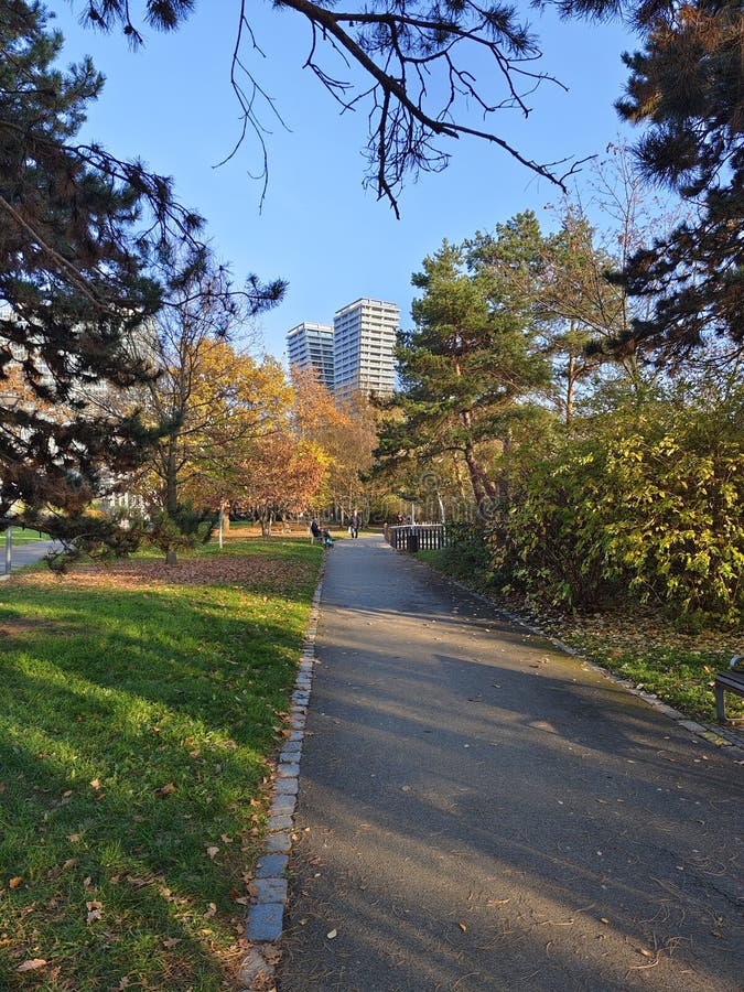 V-shaped Skyscraper in Prague, Modern Architecture in Afternoon Light ...