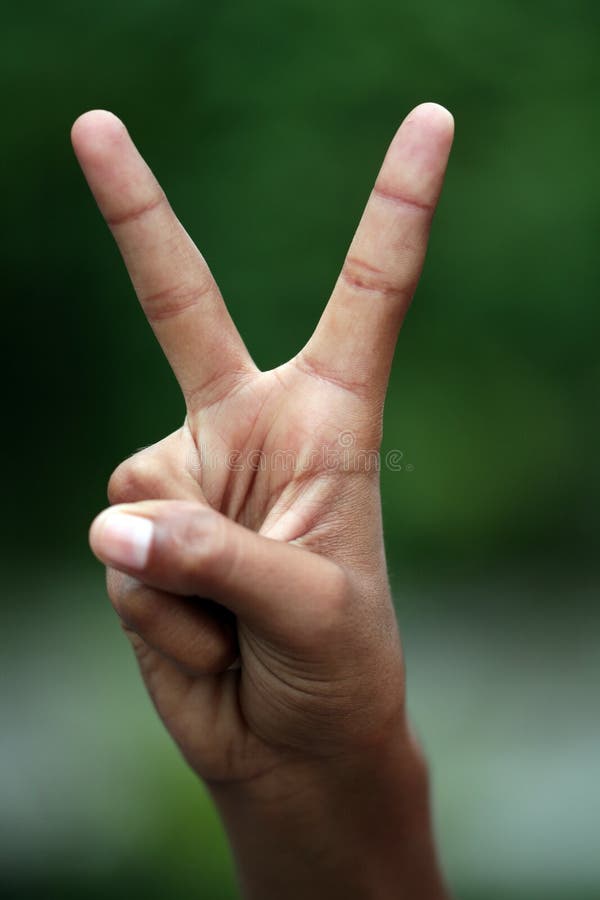 Victory sign stock image. Image of stylish, victory, studio - 15684849