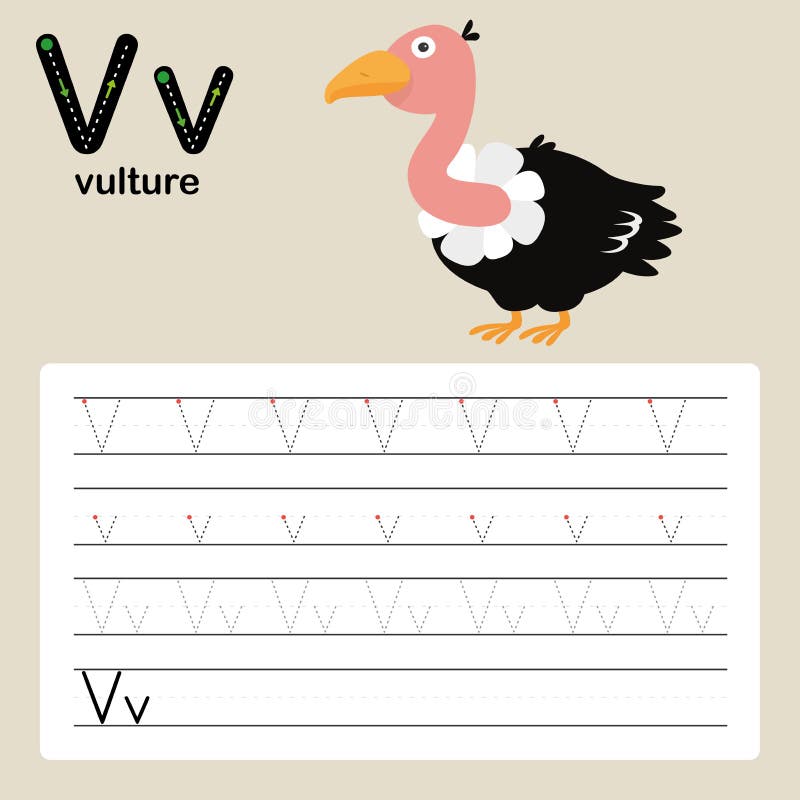 V, Vulture, Alphabet Tracing Worksheet for Preschool and Kindergarten ...
