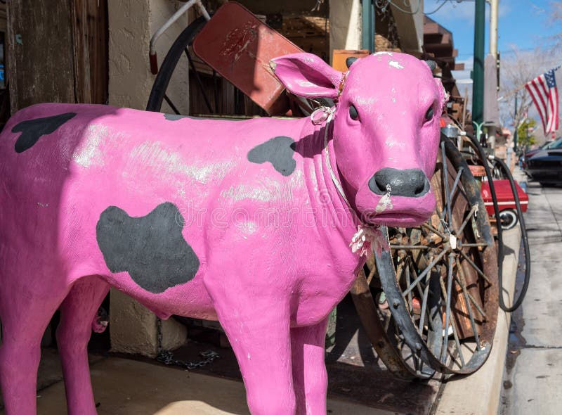 Vaca Cor-de-rosa Com Uma Orelha Foto de Stock - Imagem de rejeitado ...