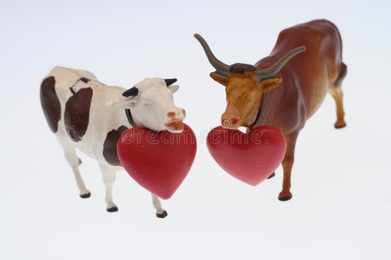 1,022 Vaca Com Coração Fotos - Fotos de Stock Gratuitas e Fotos Royalty ...