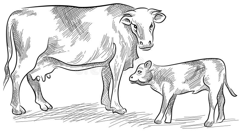 Vaca y becerro ilustración del vector. Ilustración de verde - 56490316