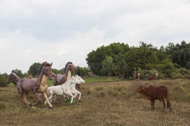 Vaca Y Caballos En El Campo Imagen de archivo - Imagen de campo, granja ...