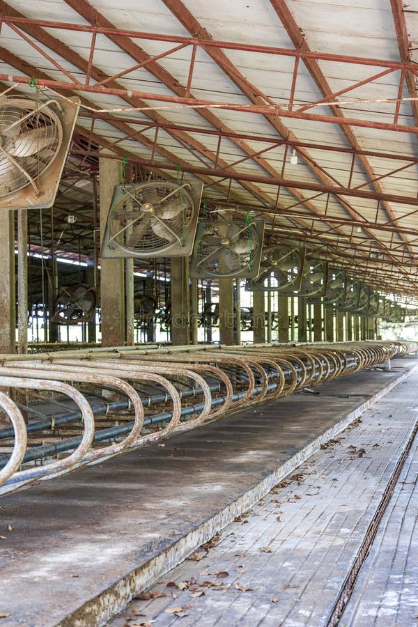 Vacant Factory Building of a Professional Dairy Farming Base Stock ...