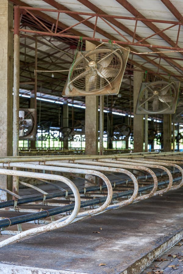 Vacant Factory Building of a Professional Dairy Farming Base Stock ...