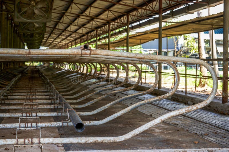 Vacant Factory Building of a Professional Dairy Farming Base Stock ...