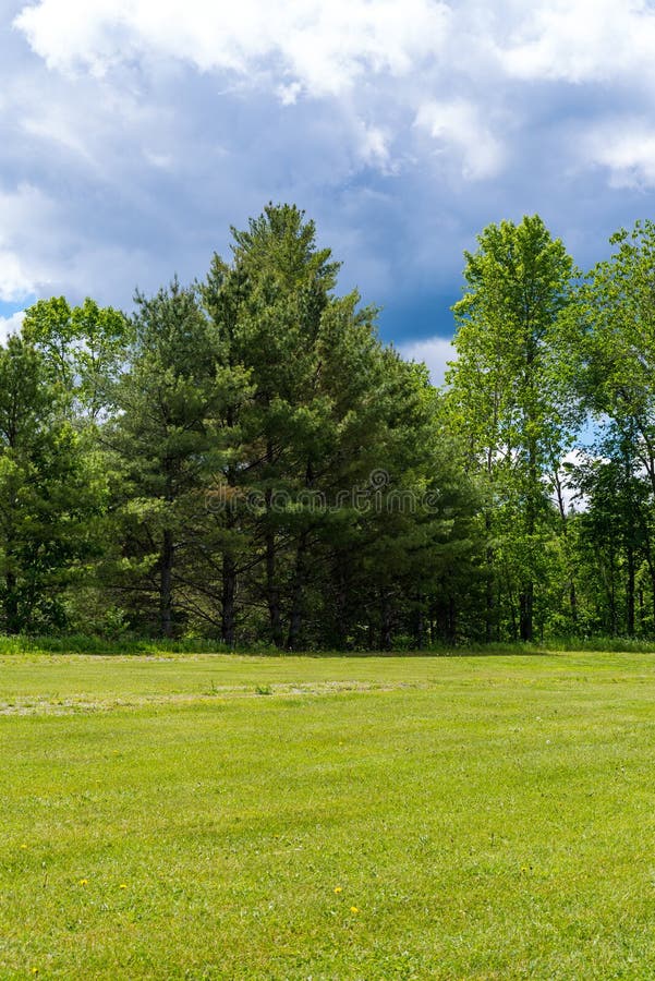 Vacant Land with Lawn and Trees in the Background on a Cloudy Day Stock ...