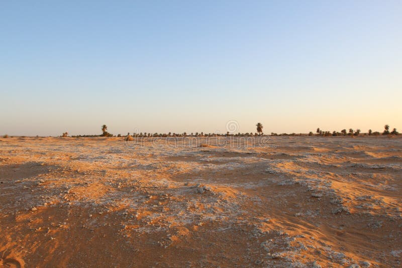 Vacant Marsh Land in the Desert of Algeria at Sunset Stock Image ...