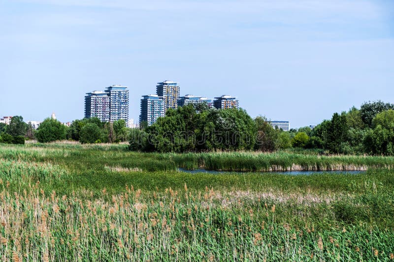 Vacaresti Delta or Vacaresti Natural Park Stock Photo - Image of ...