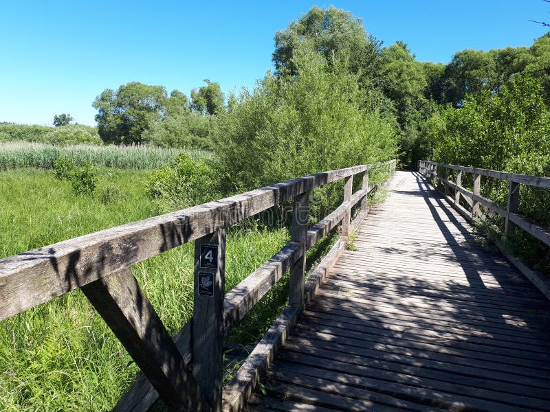 Vacation Destination Nature Wodden Bridge Blue Sky Stock Photo - Image ...